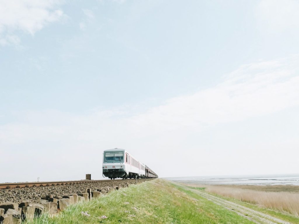 Im Zug nach Sylt - Ein Inselabenteuer ohne Auto! ↠REISELIFE↞