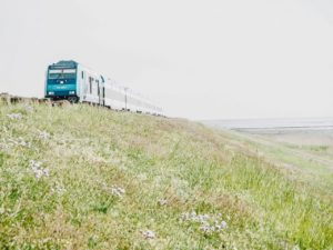 Im Zug nach Sylt - Ein Inselabenteuer ohne Auto! ↠REISELIFE↞